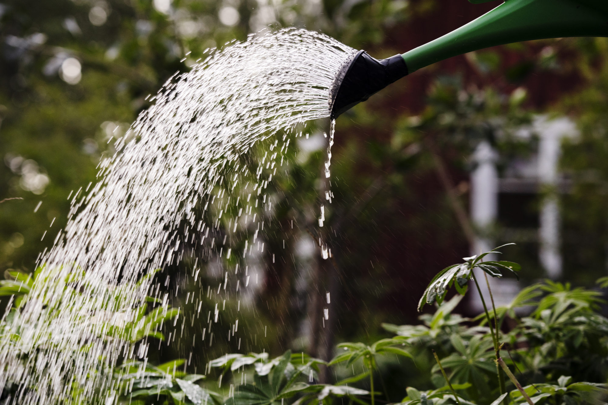 Spara vatten-tips – Vattensmart