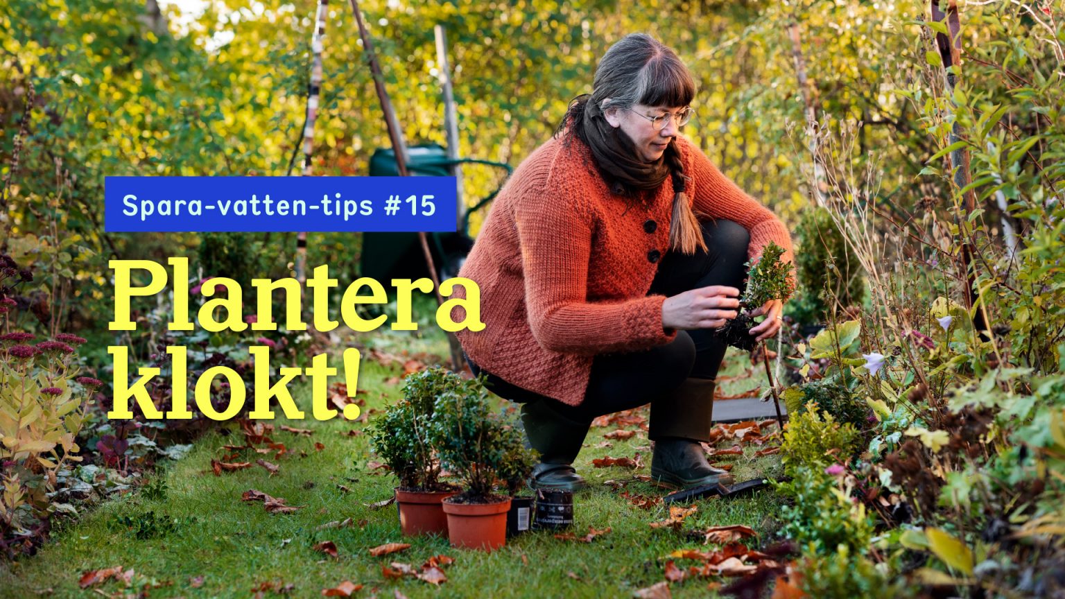 Spara vatten-tips – Vattensmart