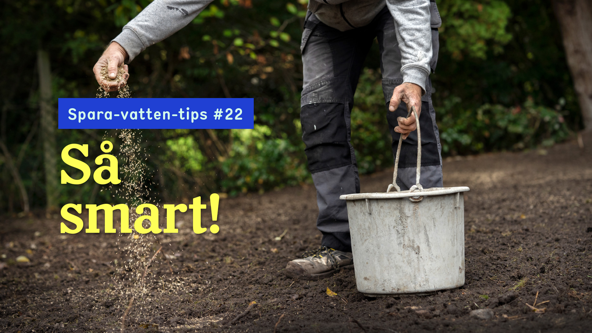 Spara vatten-tips – Vattensmart